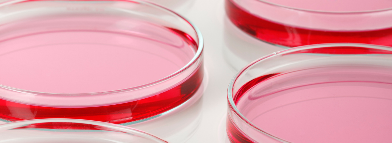 Introducing the new look InGenius3 gel doc system - Synoptics