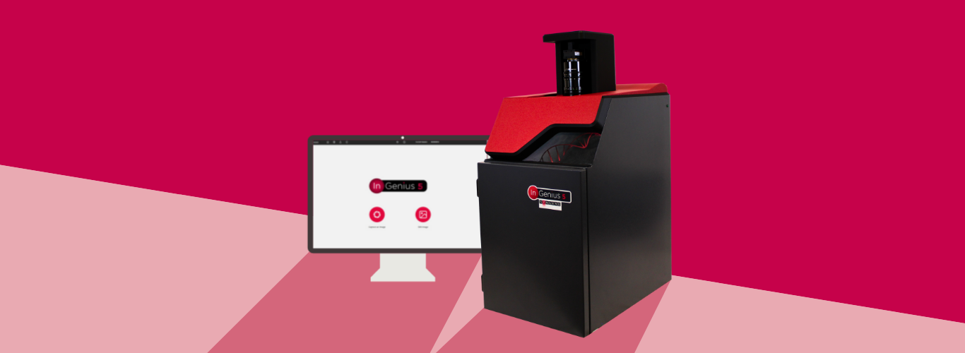 How to Capture Perfect Gel Images: A Guide to Syngene’s New Software ...